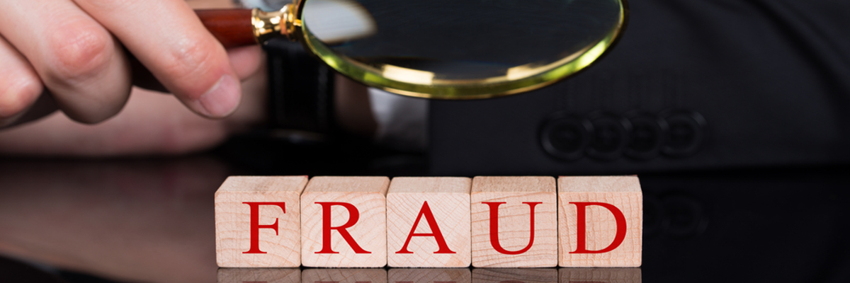 Why Every Business Needs Fraud Analytics | Elder Research